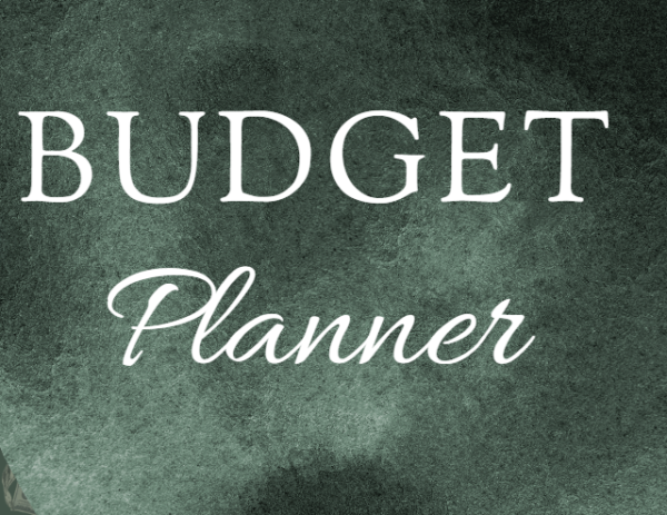 Editable Digital Budget Planner Template – Digi Creatives